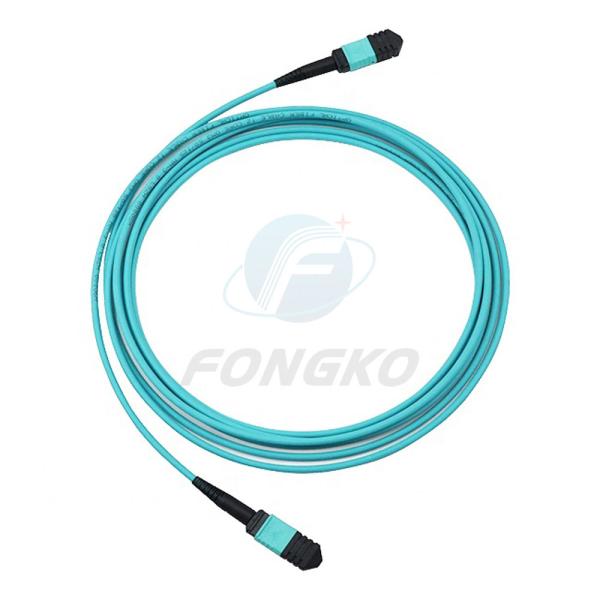 専門の製造業者1メートル12の中心の繊維光学Patchcord OM3-300女性MPOの繊維光学のpatchcord