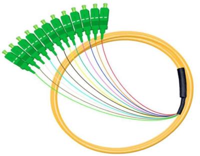 China 12 Cord Fibers Optical Fiber Pigtail Multimode Single Mode Sc APC Upc Bunch Pigtail for sale