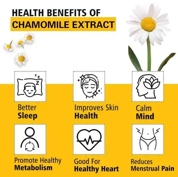 chamomile extract powder benefits 