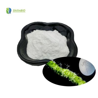 China Spongilla Lacustris Extract Powder Hydrolyzed Sponge Spicules Cosmetic Material 99% for sale