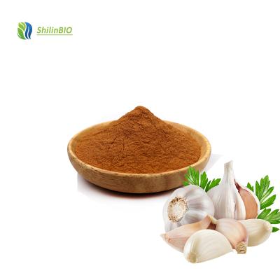 China Garlic Extract Powder 10:1 Food Grade Garlic Extract 5% Allicin Powder for sale