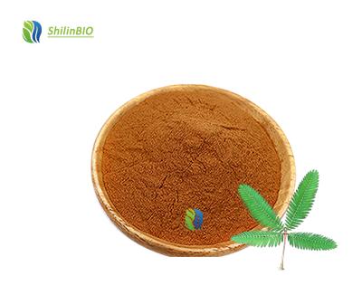China Factory Supply Mimosa Root Extract Powder Mimosa Bark Extract Powder for sale