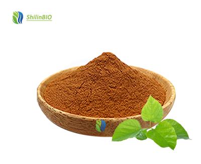 China Natural Supply Mulberry Leaf Extract Mulberry Leaf Extract Powder 1-dnj 10% Mulberry Leaf Powder for sale