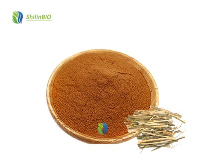 China Quality Wholesale Willow Bark Extract Powder 15%-50% Salicin Powder Willow Bark Extract for sale