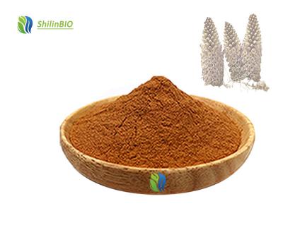 China High Quality Cistanche Tubulosa Extract Powder Bulk Cistanche Tubulosa Extract Powder Bulk Cistanche Tubulosa Extract for sale