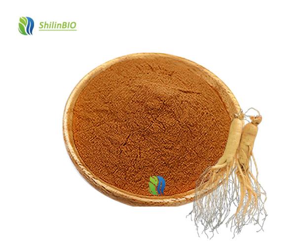 Quality Ginseng Extract Powder 10%-80% Ginsenoside for sale