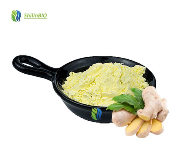Quality Ginger Extract Powder 1%-20% Gingerol for sale