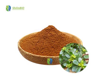 China Bacopa Monnieri Extract Powder Bacopasides for sale