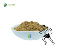 China Chromium Enriched Yeast 2000ppm Organic Chromium Supplement Yellow Powder 80 Mesh for sale