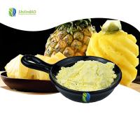 China Pineapple Fruit Powder 98% Bromelain 80 Mesh for Food Beverage Nutraceuticals for sale