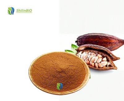 China Factory Supply Cocoa Theobromine Bulk Cocoa Extract Powder 99% Catechin Food Grade for sale