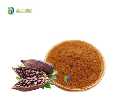 China Manufacturer Direct Sales Alkalized And Natural Cocoa Powder For Baking And Chocolate for sale