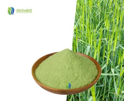 China Bulk Superfood Wheat Grass Powder Food Grade Nutritional Supplement WheatGrass Powder Super Greens Wheat Grass Juice Powder for sale