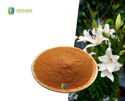 China Food-Grade Lily Extract Powder with 10%-70% Lily Polysaccharides Water-Soluble Lily Powder Lily Bulb Extract for sale