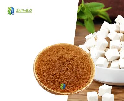 China High Quality Wholesale Poria Cocos Polysaccharide 10%-50% Fu Ling Poria Cocos Extract for sale