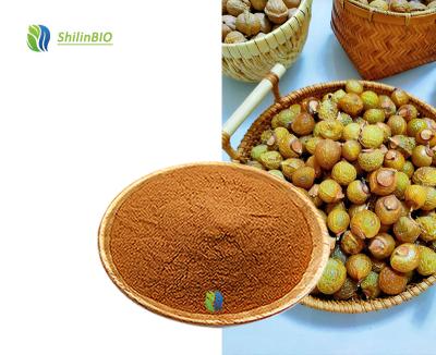 China Bulk Natural Sapindus Saponaria Sapindus Mukorossi Fruit Extract Powder 80% Sapindus Saponin for sale
