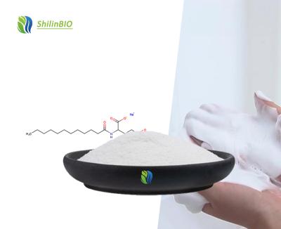 China Factory Supply Raw Material Surfactant 95% Foaming CAS 29923-31-7 Sodium Lauroyl Glutamate Powder for sale