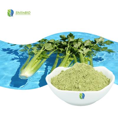 China SLBIO High Quality Celery Powder Food Grade Apium Graveolens Powder for sale