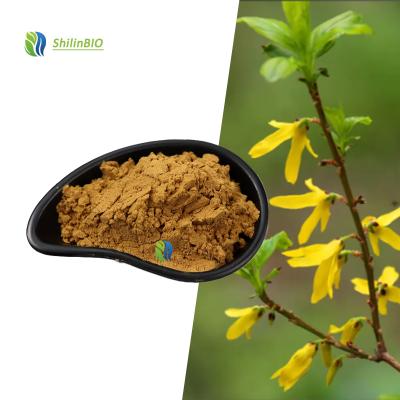 China SLBIO High Quality Food Grade 10:1 20:1 Gymnema Sylvestre Leaf Extract Powder for sale