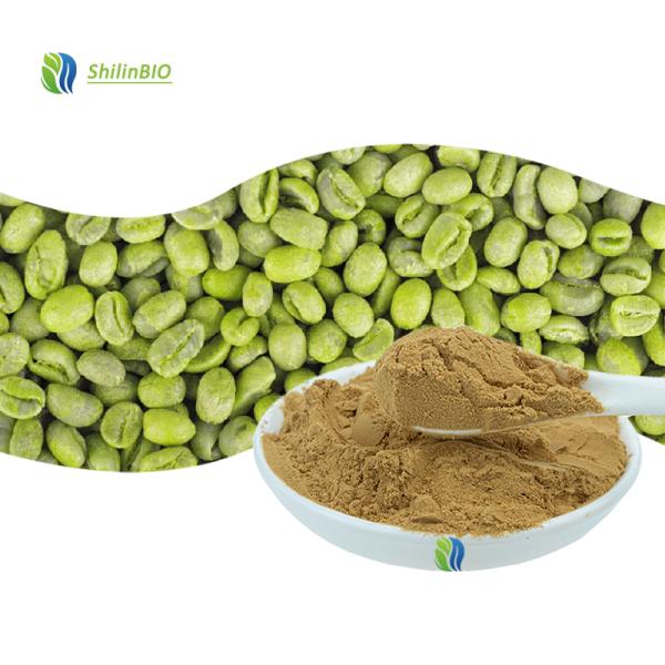 Quality High Quality Green Coffee Bean Extract Powder 50% Chlorogenic Acid for sale