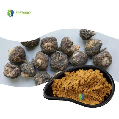 China High Quality Maca Extract 10:1 Maca Root Powder Food Grade for sale