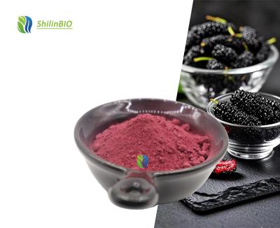 China Hot Selling Wholesale Price Mulberry Fruit Juice Powder Mulberry Fruit Extract Powder for sale