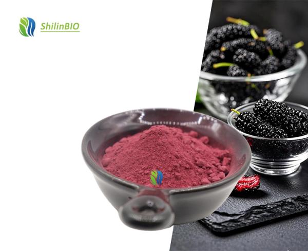 Quality Hot Selling Wholesale Price Mulberry Fruit Juice Powder Mulberry Fruit Extract Powder for sale