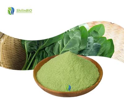 China Spray Dried Spinach Vegetable Powder Water Soluble Spinach Powder Extract for sale