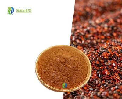 China SLBIO Food Grade Turnjujube Zhi Ju Zi Semen Hoveniae Extract Powder Hovenia Dulcis Extract for sale