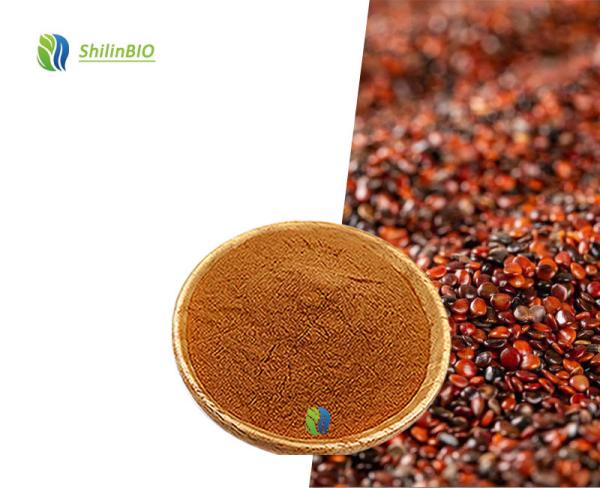 Quality SLBIO Food Grade Turnjujube Zhi Ju Zi Semen Hoveniae Extract Powder Hovenia Dulcis Extract for sale