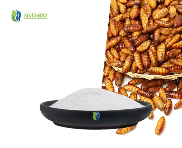 Quality SLBIO Good Quality Silkworm Pupa Protein Food Grade Peptide Food Grade Silk Protein Peptide Powder for sale