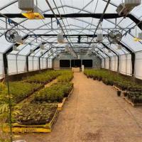 China Automatic Ventilation System Blackout Greenhouse With LED Light Deprivation for sale
