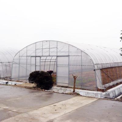 Cina Sistema di coltivazione idroponica Serra a film plastico a tunnel a campata singola agricola in vendita
