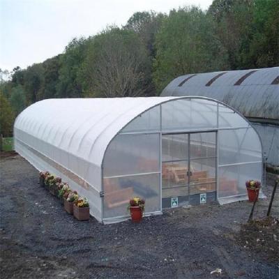 Cina Sistema di coltivazione idroponica Serra a film plastico a tunnel a campata singola agricola in vendita