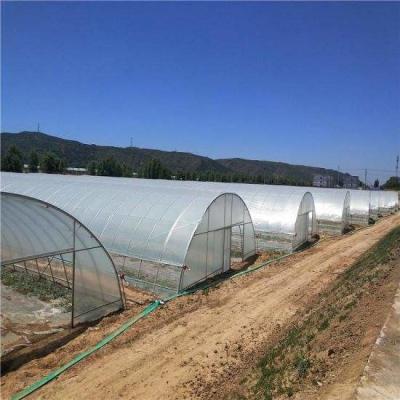 Cina Sistema di coltivazione idroponica Serra a film plastico a tunnel a campata singola agricola in vendita