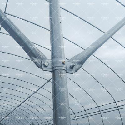 Cina 10x50m Polytunnel Berry Poly High Tunnel Serra Film Tunnel Serra in vendita