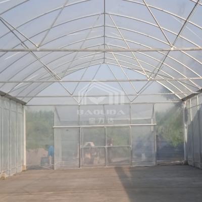 Cina 10x50m Polytunnel Berry Poly High Tunnel Serra Film Tunnel Serra in vendita