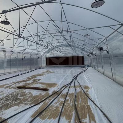 Cina 10x50m Polytunnel Berry Poly High Tunnel Serra Film Tunnel Serra in vendita
