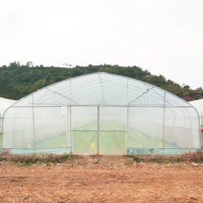 Cina Serre per l'agricoltura facile installazione Serra in galleria con bastoncino ad arco di 1,5 metri in vendita