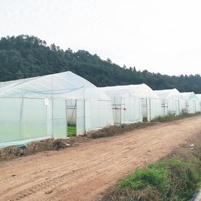 Cina Serre per l'agricoltura facile installazione Serra in galleria con bastoncino ad arco di 1,5 metri in vendita
