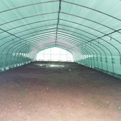Cina Serre per l'agricoltura facile installazione Serra in galleria con bastoncino ad arco di 1,5 metri in vendita