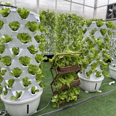 Cina 65L 8 strati 64 fori di pianta Sistema di coltivazione idroponica con serbatoio d'acqua da 6L in vendita