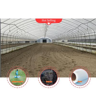 China Galvanized Steel Frame Mushroom Growing Shade Net Greenhouse for Agricultural Cultivation for sale
