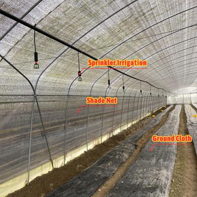 China Galvanized Steel Frame Mushroom Growing Shade Net Greenhouse for Agricultural Cultivation for sale