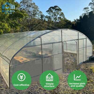 China PE-filmkastructuur Geventileerde Serre Agricole kas Te koop