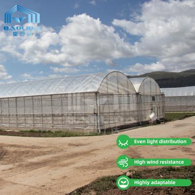 China Baolida polycarbonaat broeikasten metalen frame Serre Agricole Landbouw broeikasten film Te koop