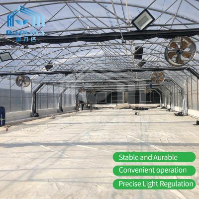 China Baolida Automatic Blackout Greenhouse Light-Dep Greenhouse Mushroom for sale