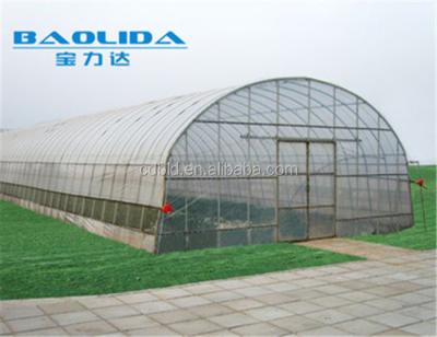 China Baolida 8m x 12.5m Tunnel Greenhouse with 3.5m Height for Vegetables for sale