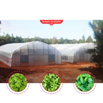 China BAOLIDA Single-Span Greenhouse 6-10m Width 150/200micro PE Film Cover for sale