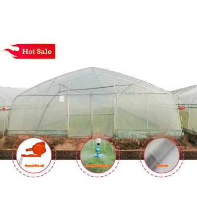China BAOLIDA Tunnel Greenhouse 8m Width 30m Length PE Film Cover for sale
